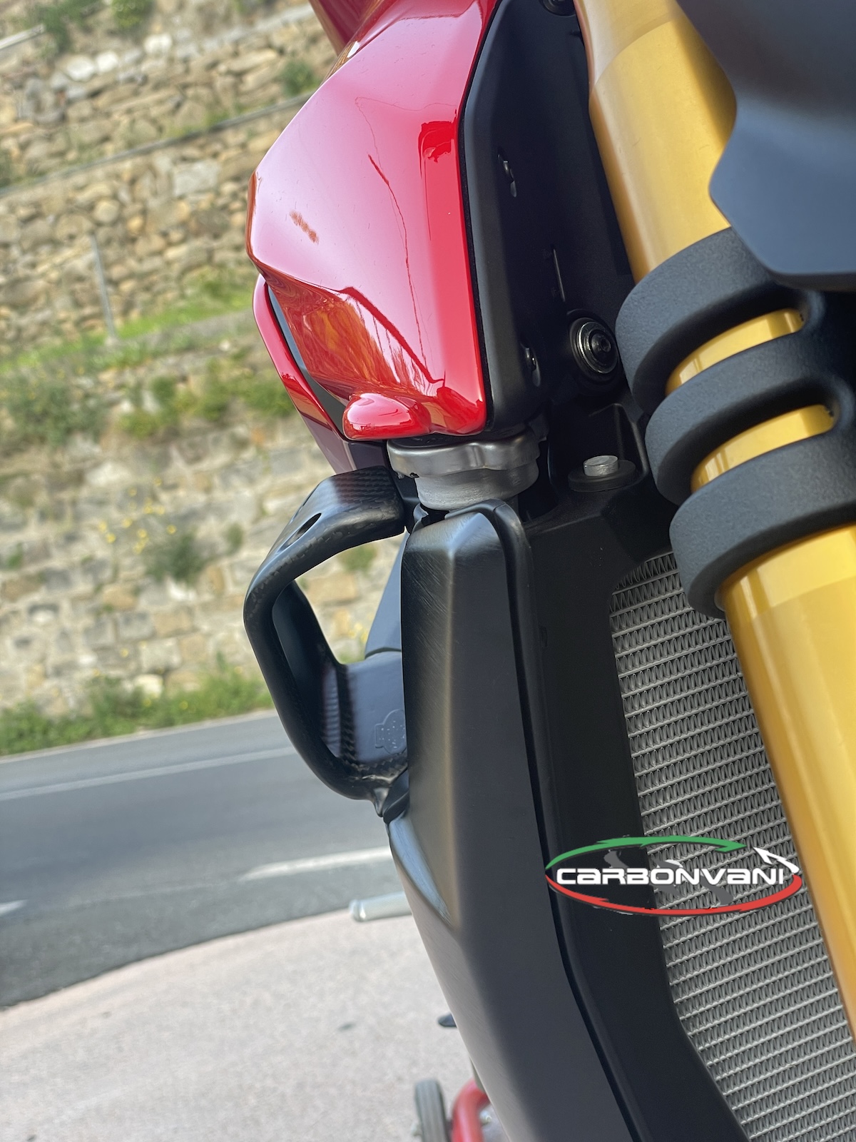 Carbonvani - Ducati Streetfighter V4 / V2 GP Style Carbon Fiber Winglet ...