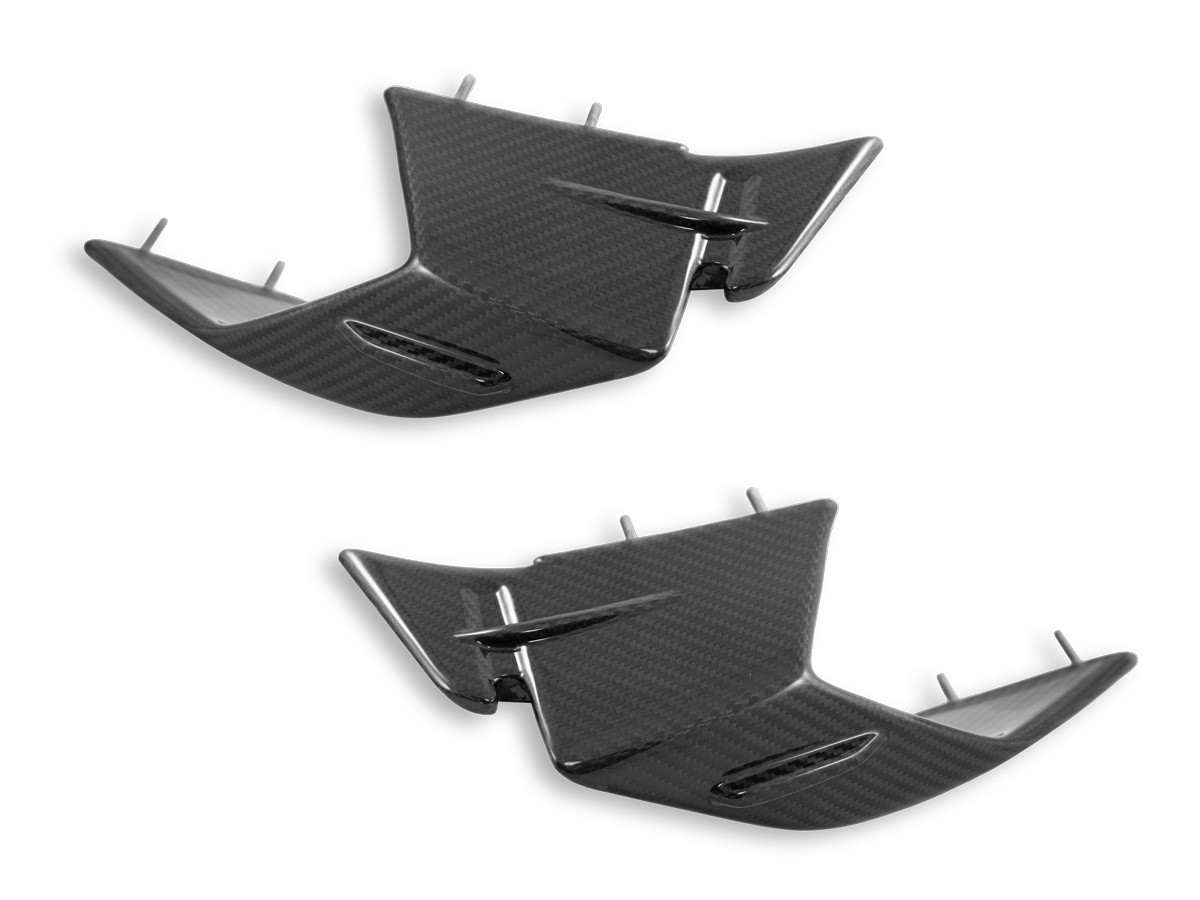DBK Special Parts (Ducabike) Twill Carbon Fiber Winglets for BMW ...
