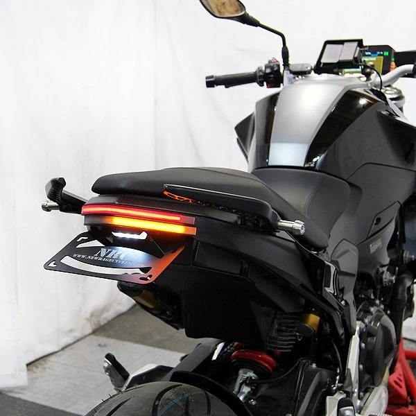 New Rage Cycles (NRC) BMW F900R Fender Eliminator and Taillight / Turn ...