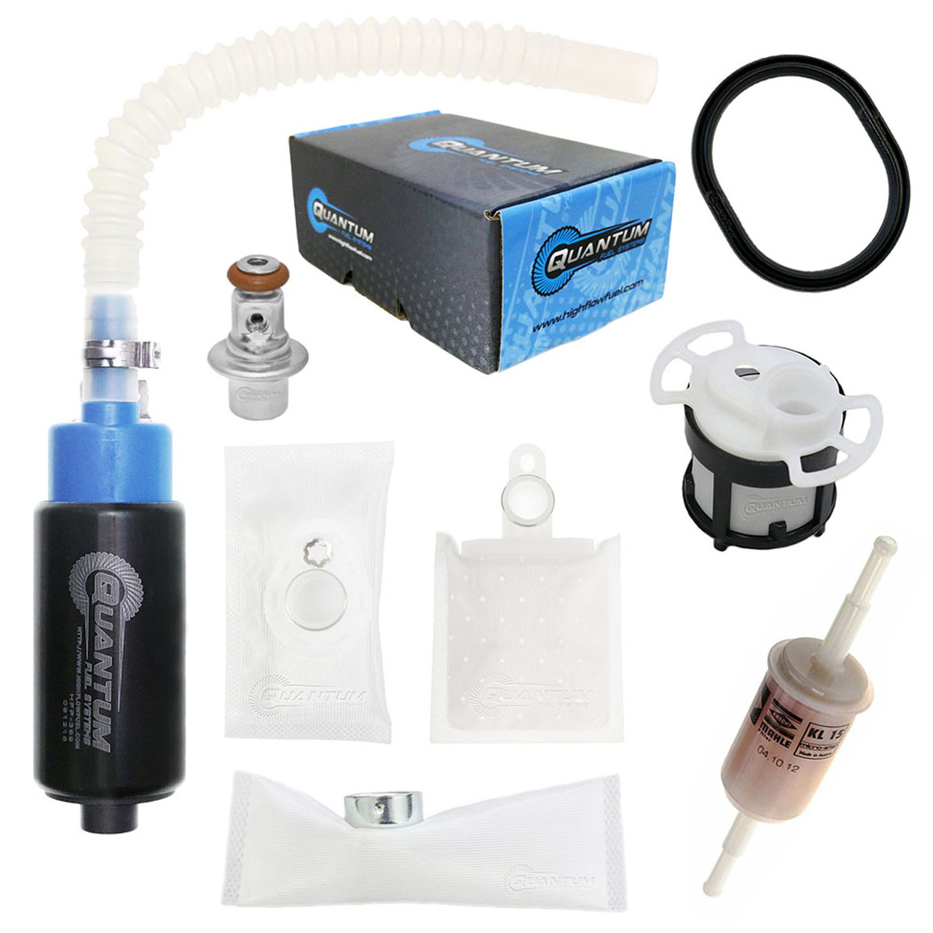Quantum Fuel Systems OEM Replacement In-Tank EFI Fuel Pump with Fuel ...