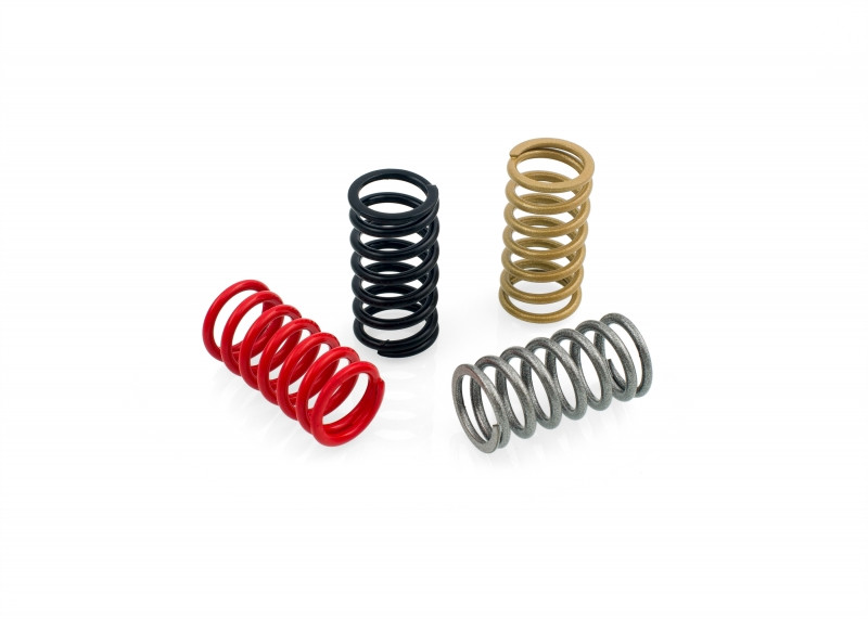 CNC Racing Dry Clutch Colored Stainless Steel Spring Set